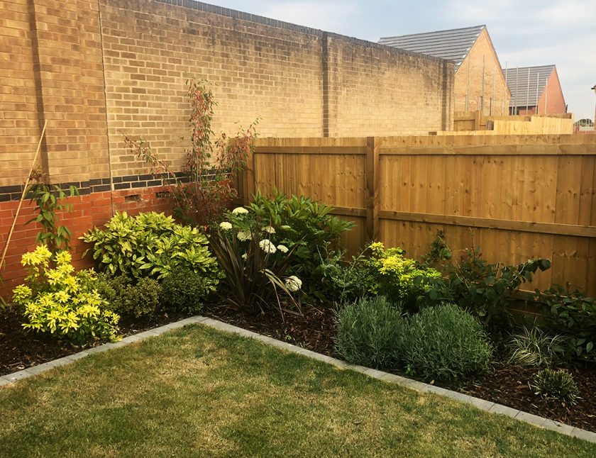 Green Care Solutions