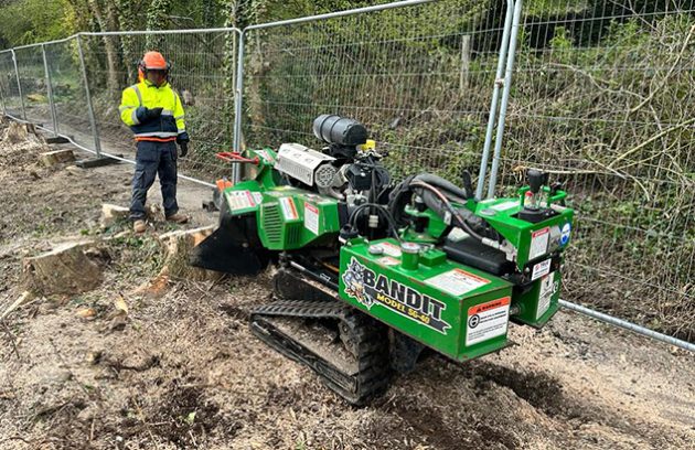 Tree Surgery – Green Care Solutions